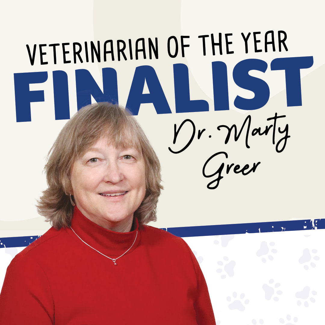 Cast Your Vote For Dr Marty Greer