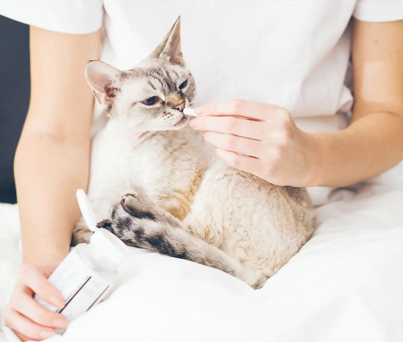 Why Is My Pet's Prescription Not in the Original Packaging?