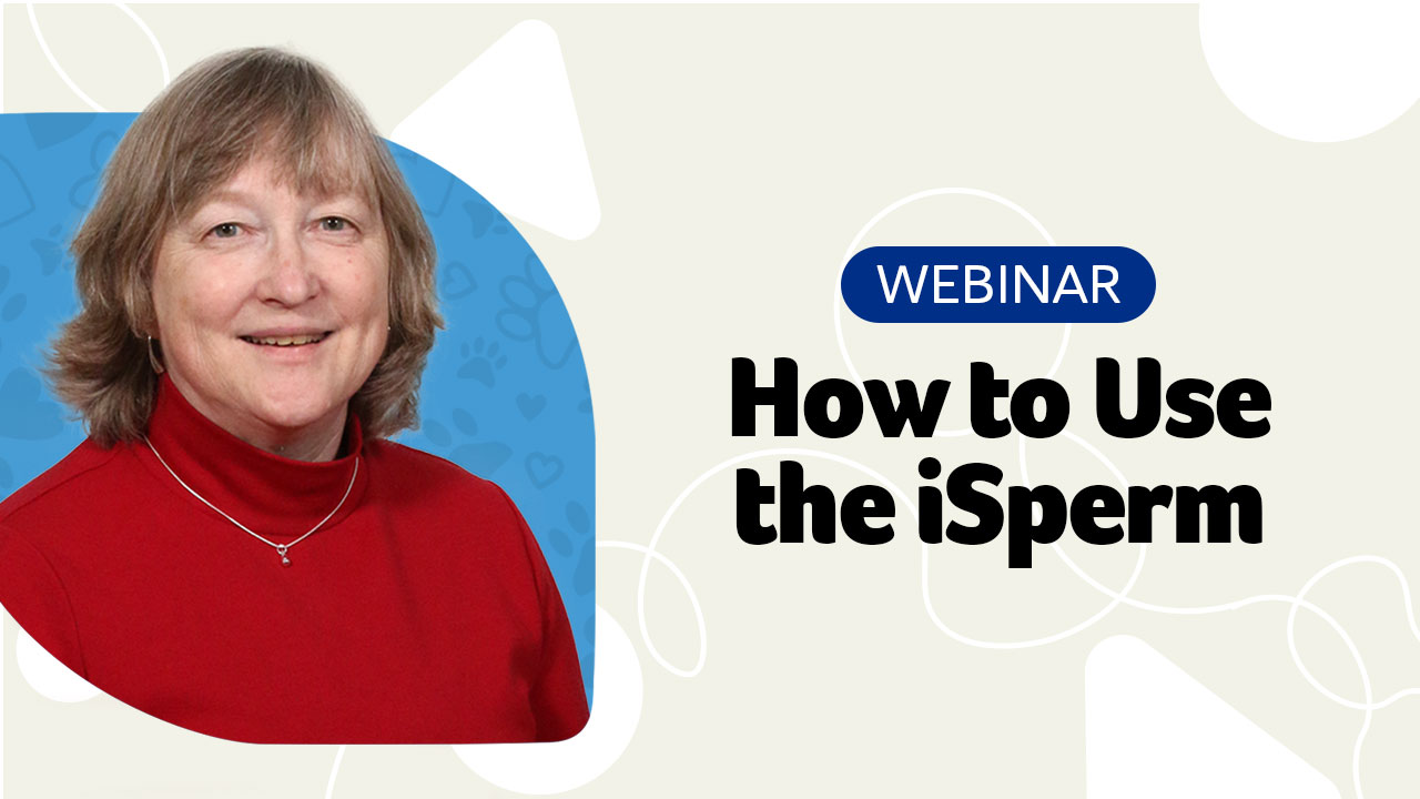 How to Use the iSperm Semen Analyzer